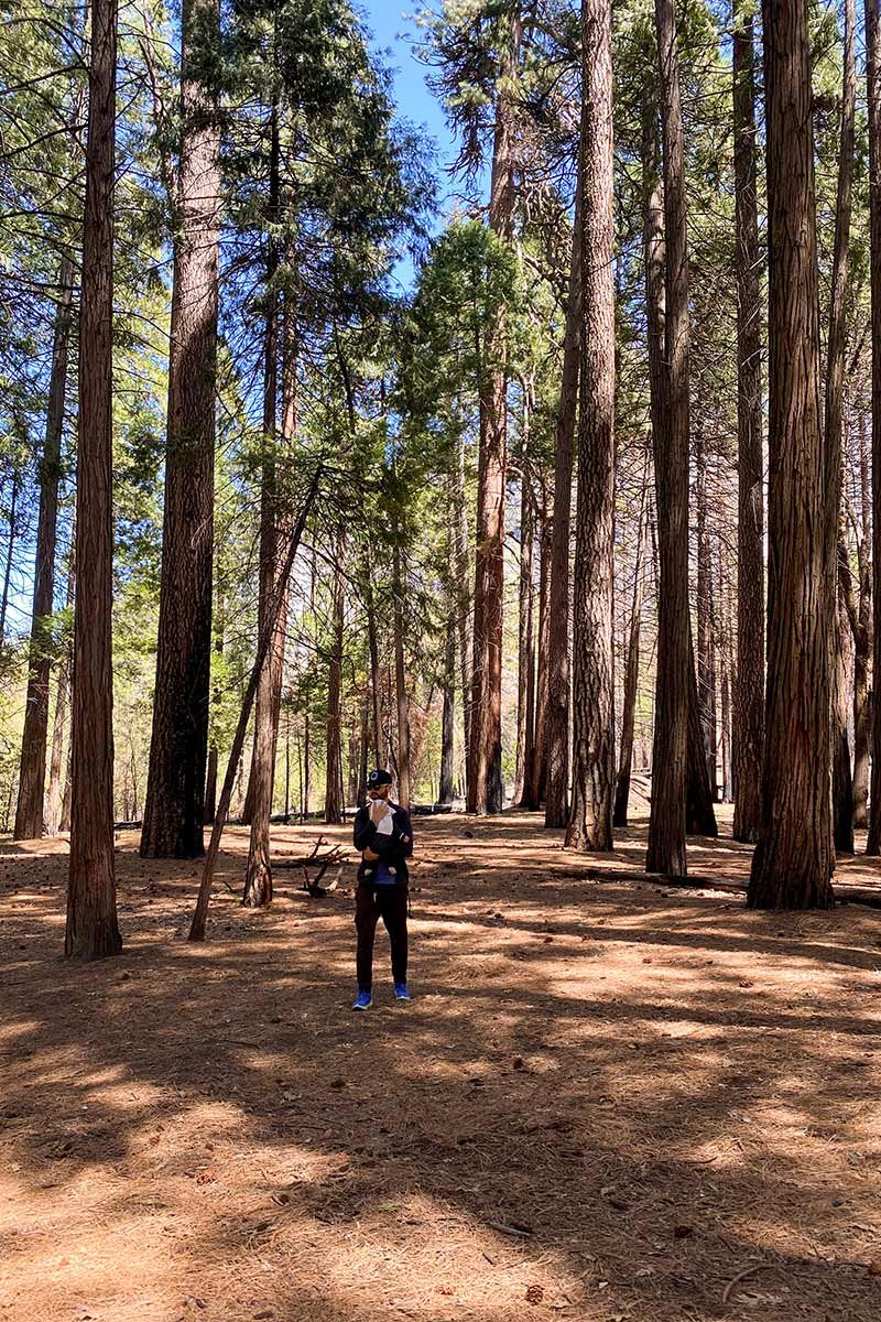 Galeria de fotos: parque nacional de yosemite, na califórnia (EUA) - Eu ...